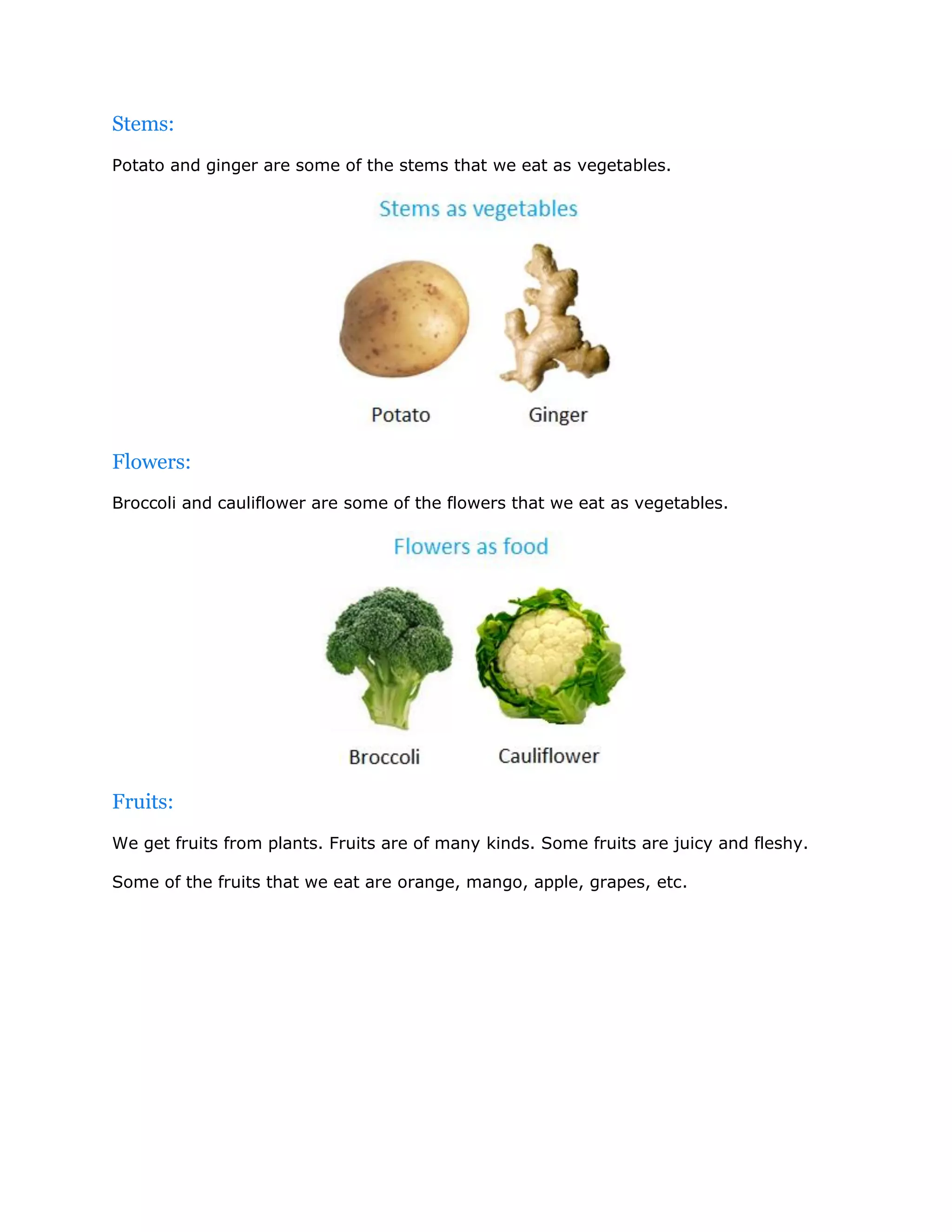 Food from plants | PDF