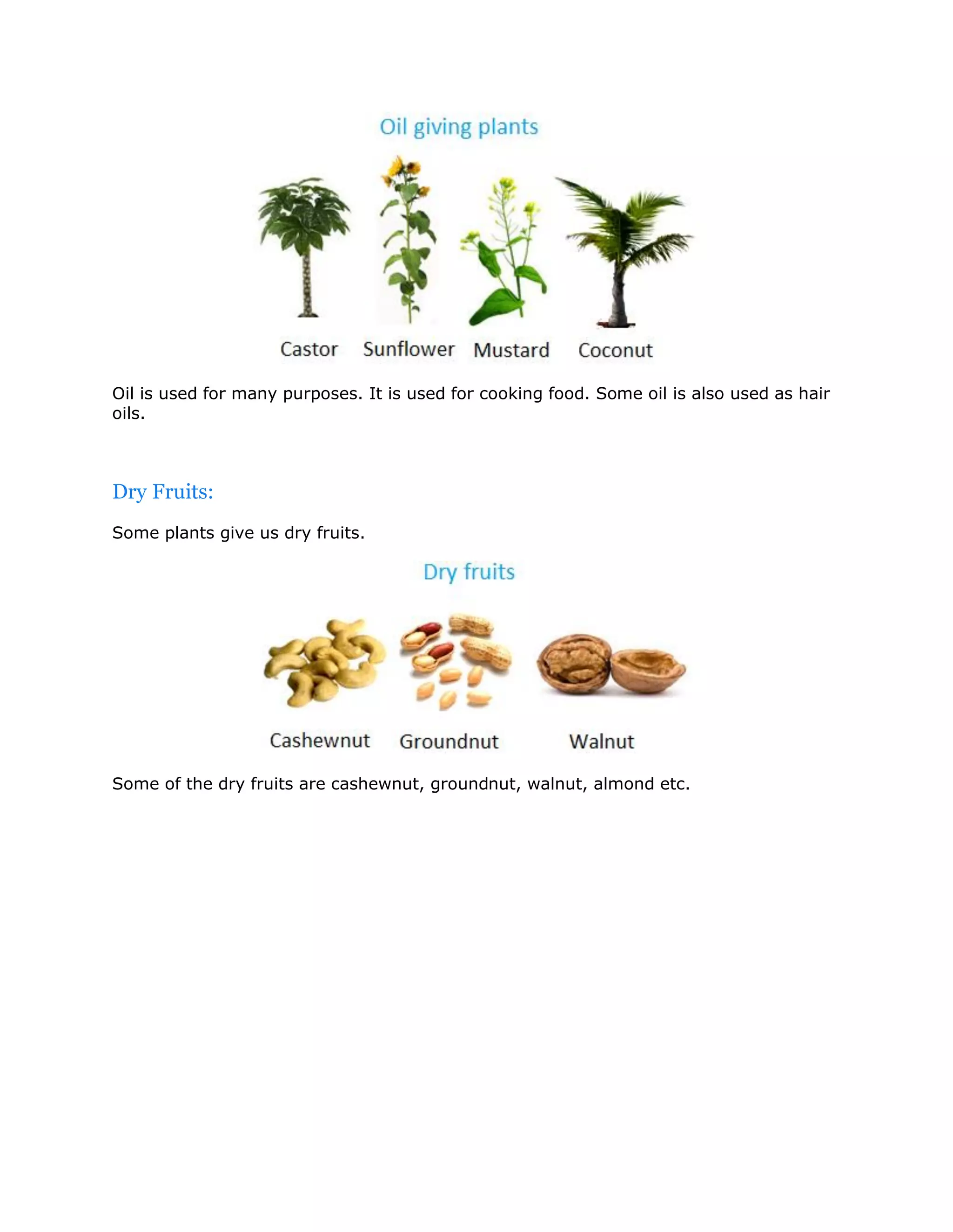 Food from plants | PDF