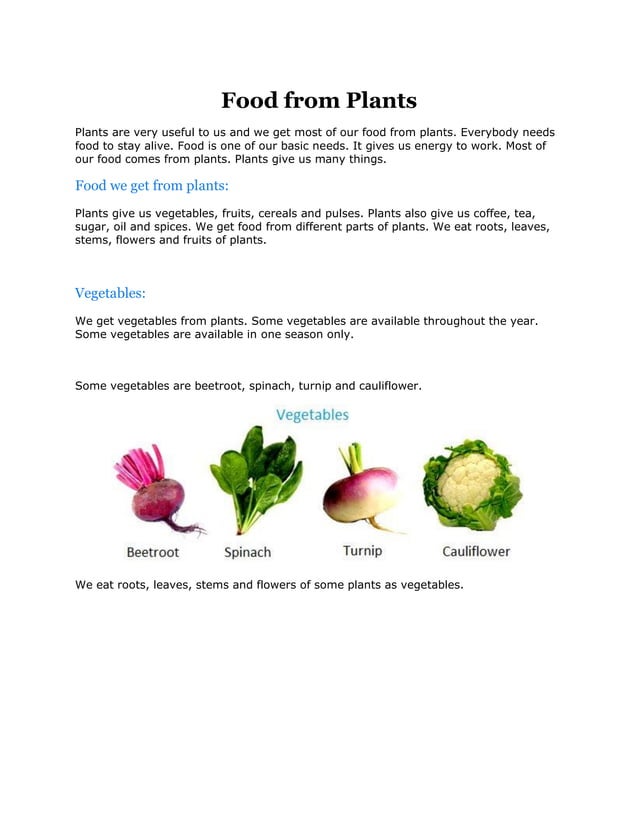 Food from plants | PDF