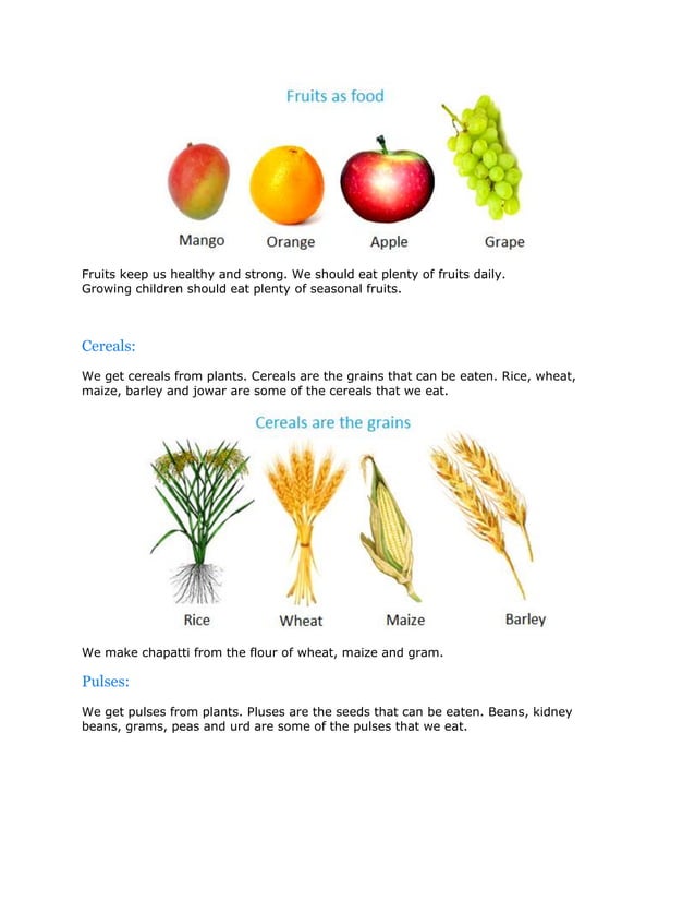 Food from plants | PDF