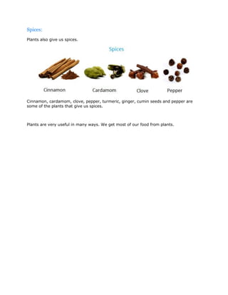 Food from plants | PDF