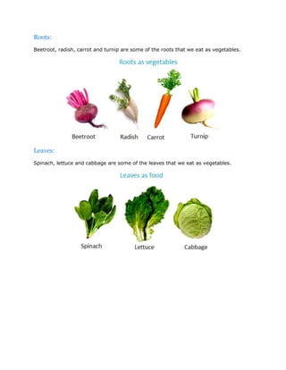 Stems Of Plants We Eat