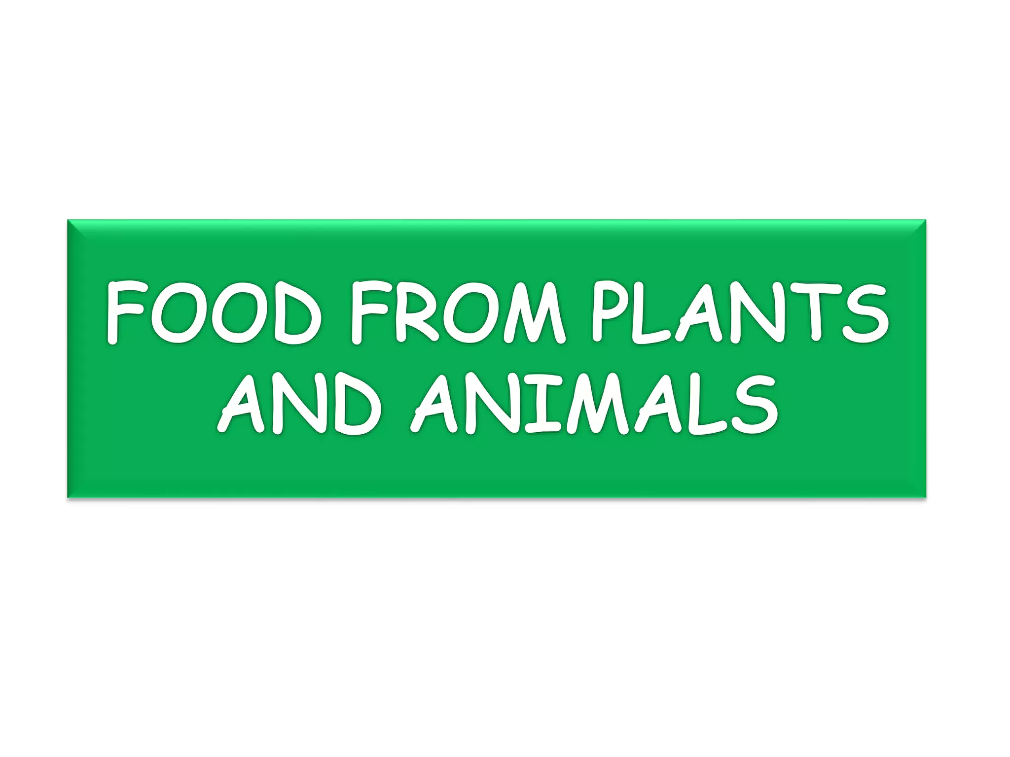 Food from plants and animals | PPTX
