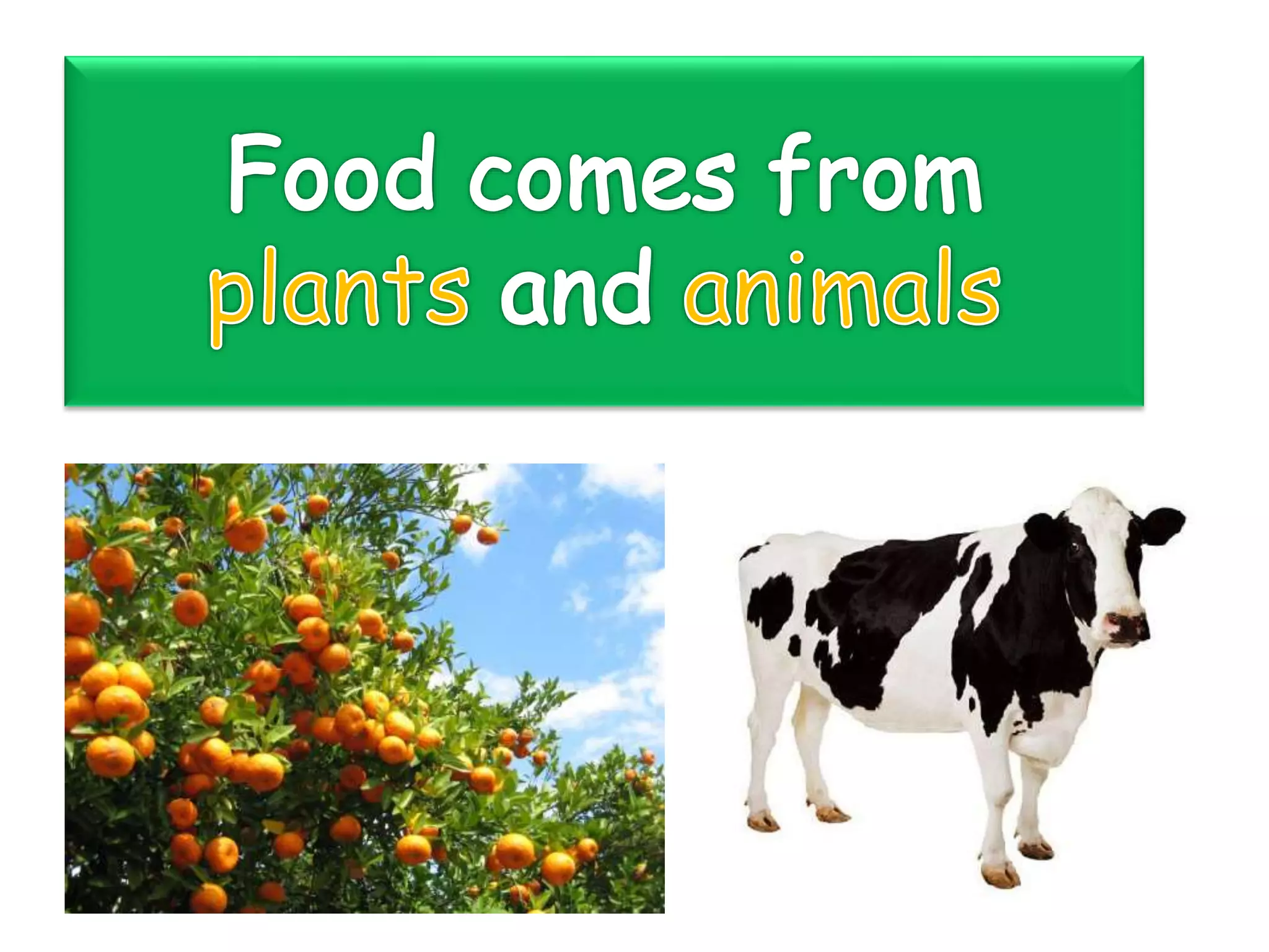 Food from plants and animals | PPTX