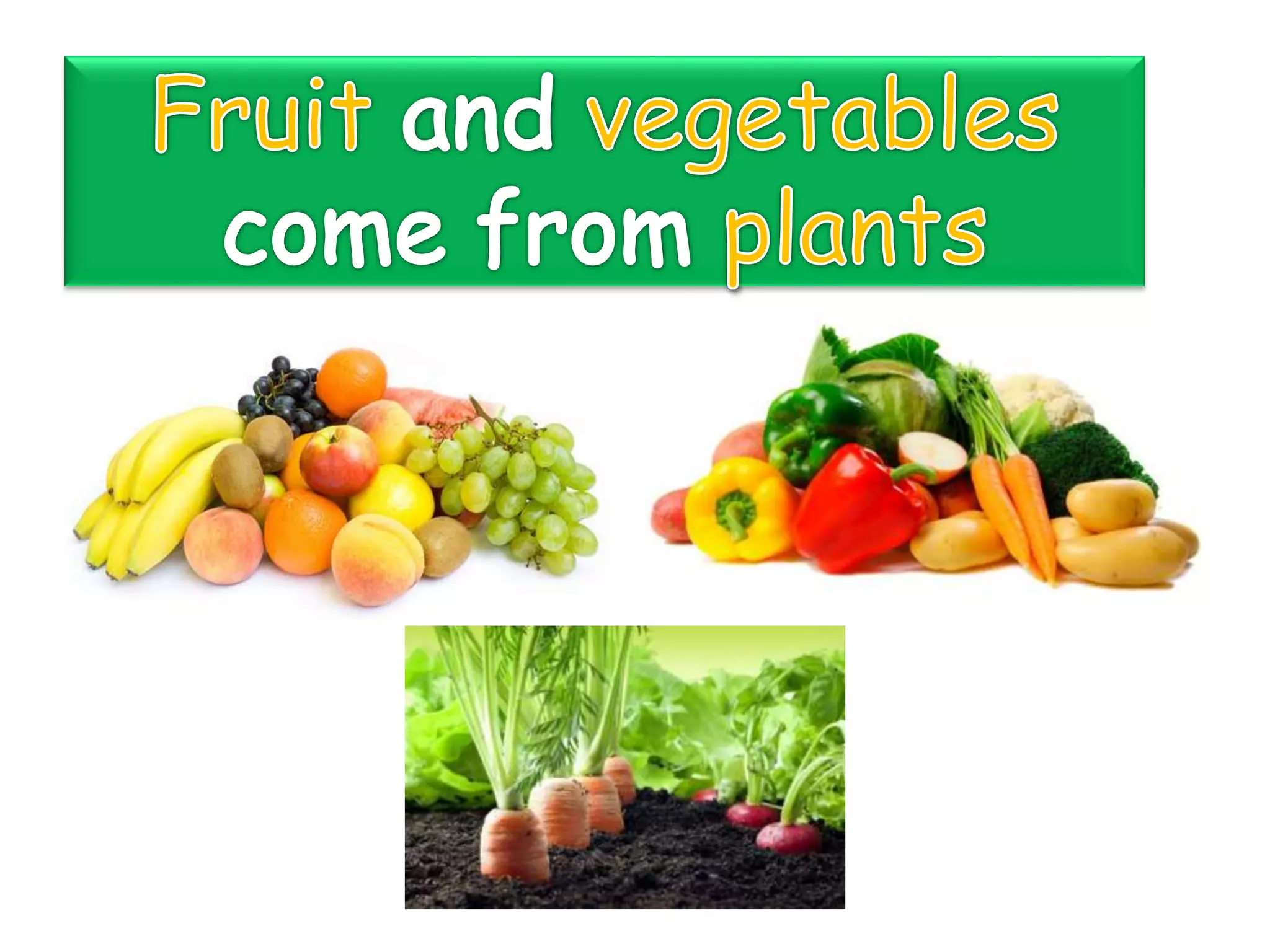 Food from plants and animals | PPTX