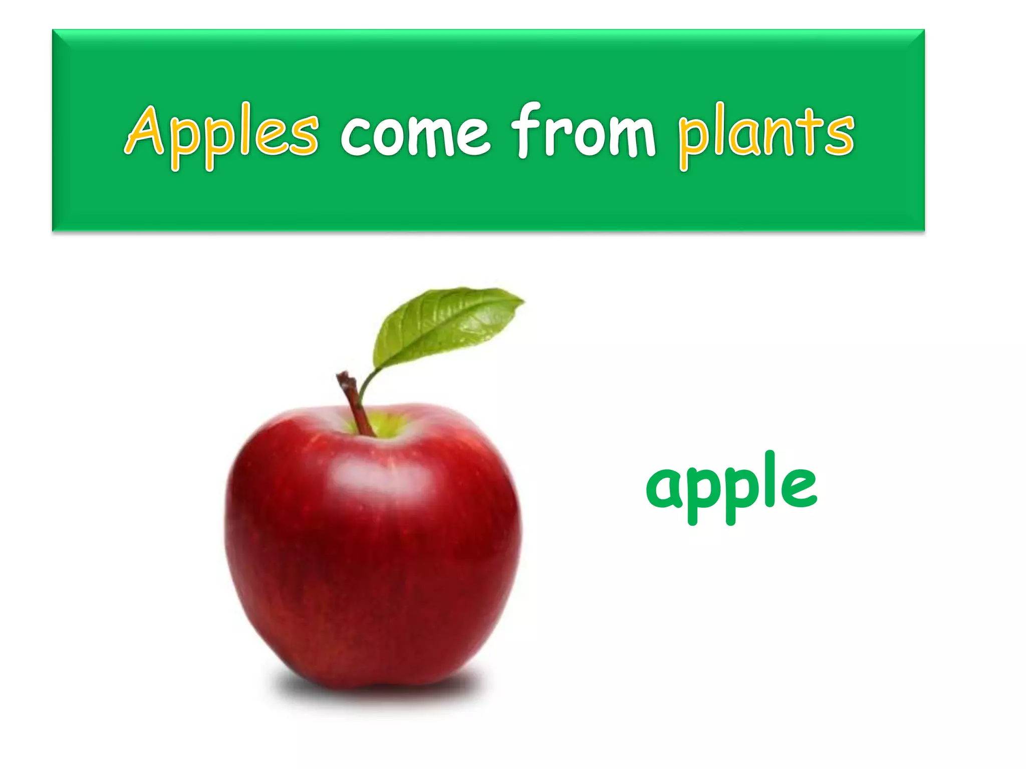 Food from plants and animals | PPTX