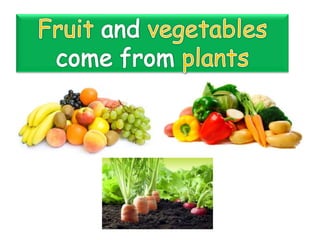 Food from plants and animals | PPTX