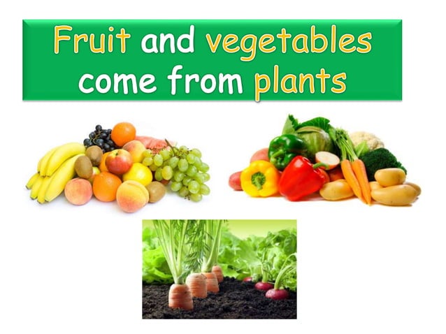 Food from plants and animals | PPTX | Healthy Cooking and Eating | Food ...