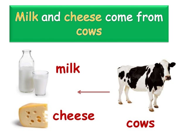 Food from plants and animals