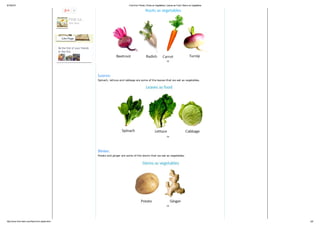 Food from plants roots as vegetables leaves as food _ stems as ...