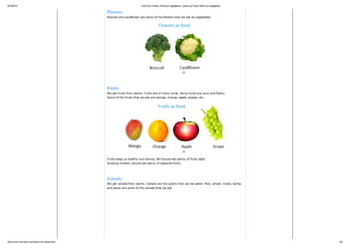 Food from plants roots as vegetables leaves as food _ stems as ...