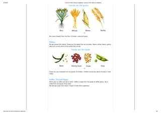 Food from plants roots as vegetables leaves as food _ stems as ...