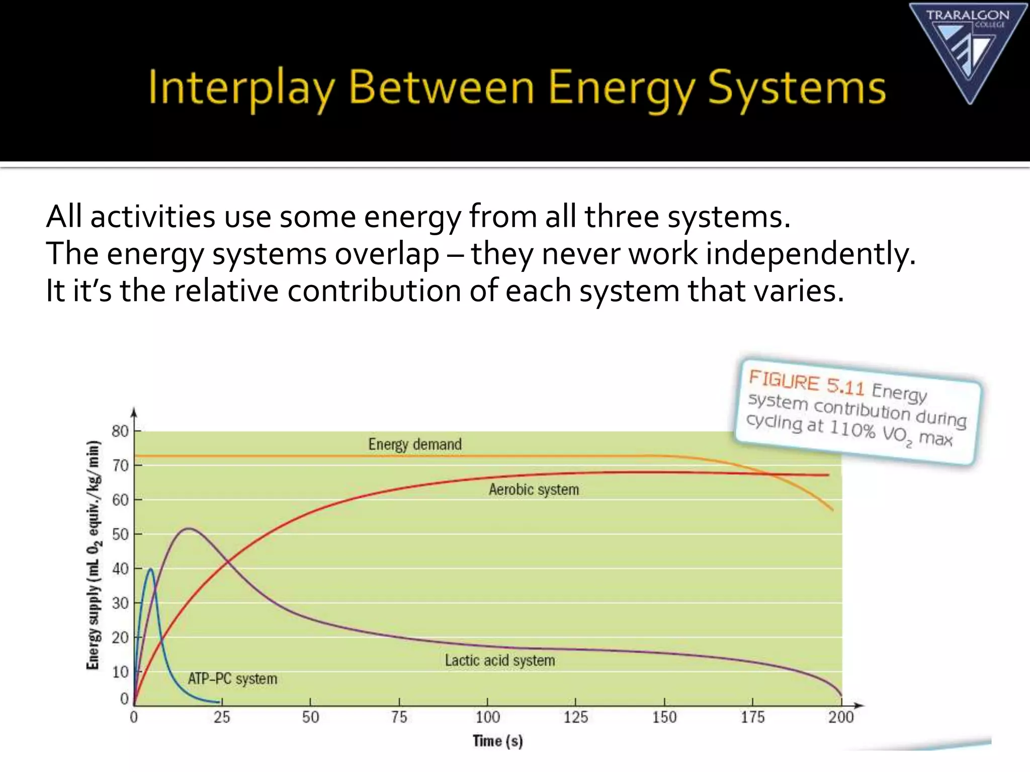 Food fuels and the three energy systems | PPTX