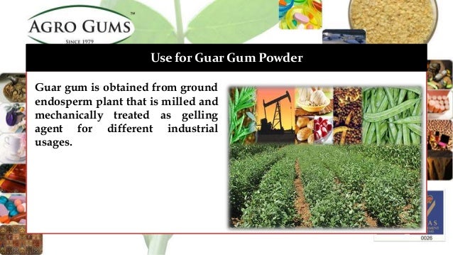 Food Grade Guar Gum Powder & Industrial Application Food Grade Guar Gum Powder & Industrial Application