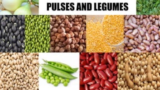Food group | PPTX