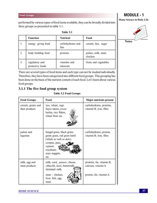 Food groups | PDF
