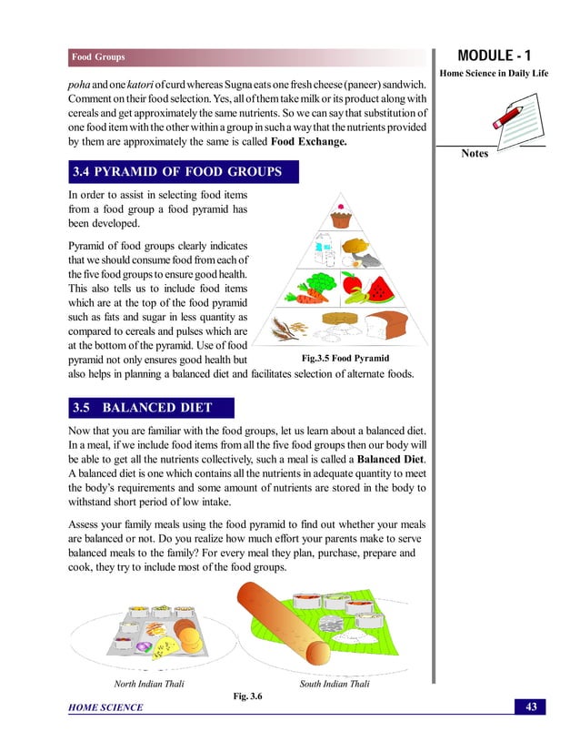 Food groups | PDF