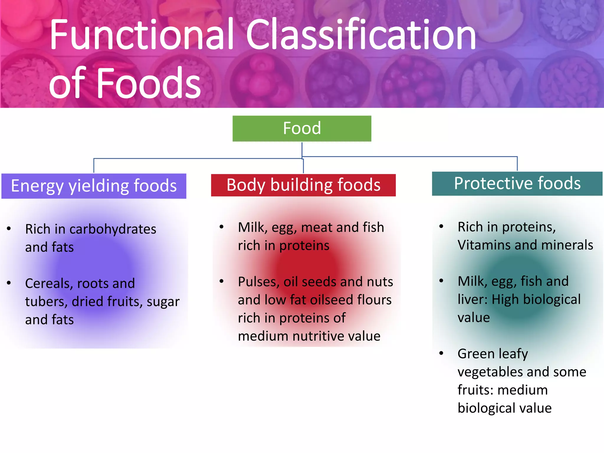 Food groups and food pyramid | PDF