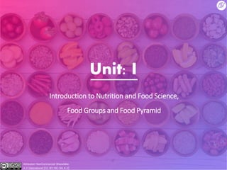 Food groups and food pyramid | PDF