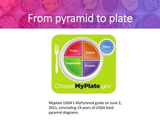 Food groups and food pyramid | PDF