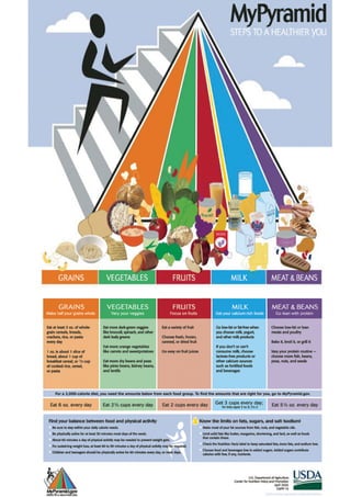 พีระมิดอาหาร ( Food guide pyramid ) | PDF