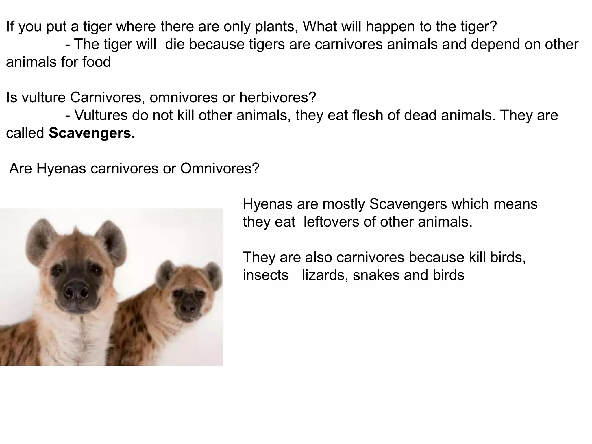 Food habits of animals | PPTX