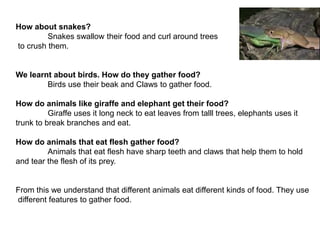 Food habits of animals | PPTX