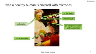 Food handler hygiene.pptxnhvgguikknhgffyuj | PPTX