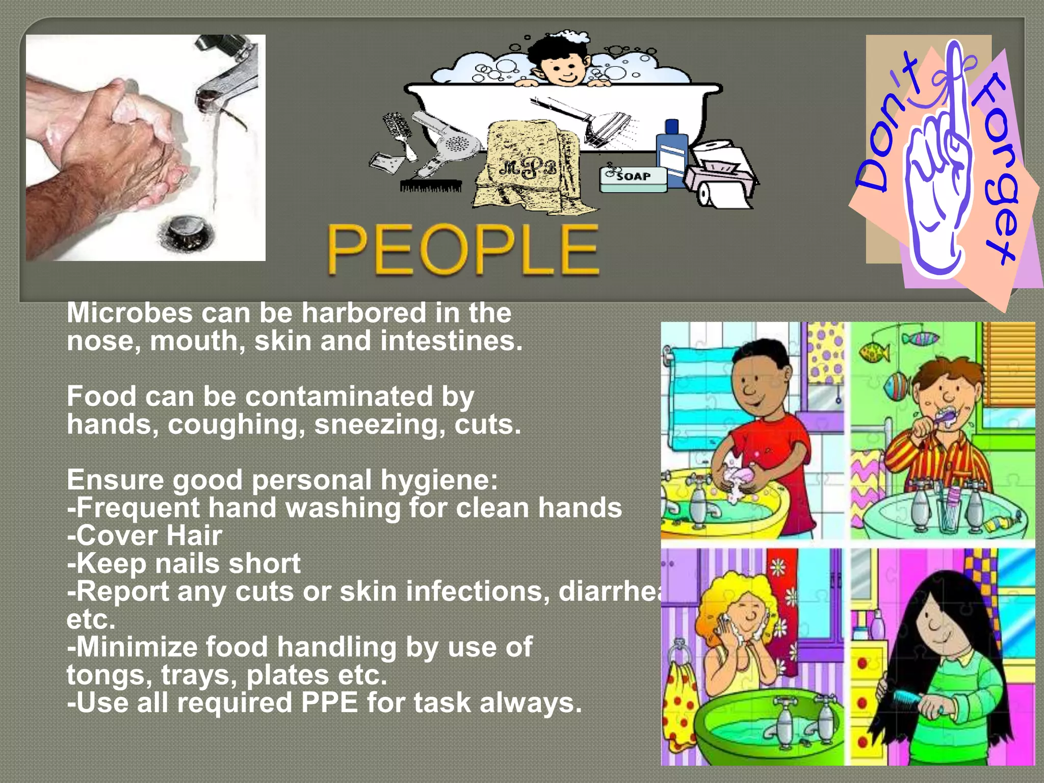 Food handler's hygiene food hygiene | PPTX