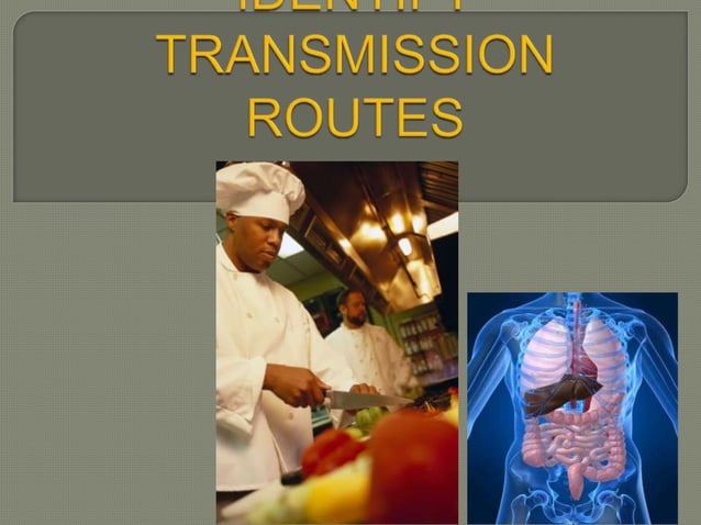 Food handler's hygiene food hygiene | PPTX | Food Allergies | Food & Drink