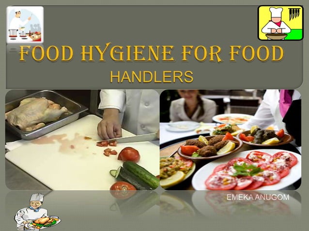 Food handler's hygiene food hygiene | PPT