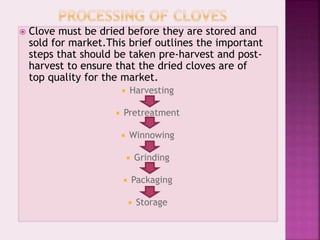 Food havest manangement and processing of Cloves.. | PPTX