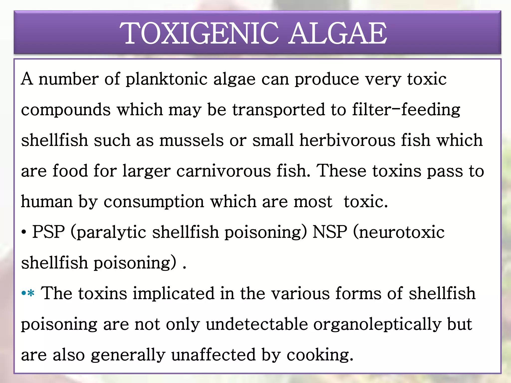 Food hazard & non bacterial agents of foodborne illness | PPTX