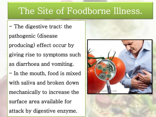 Food hazard & non bacterial agents of foodborne illness | PPTX