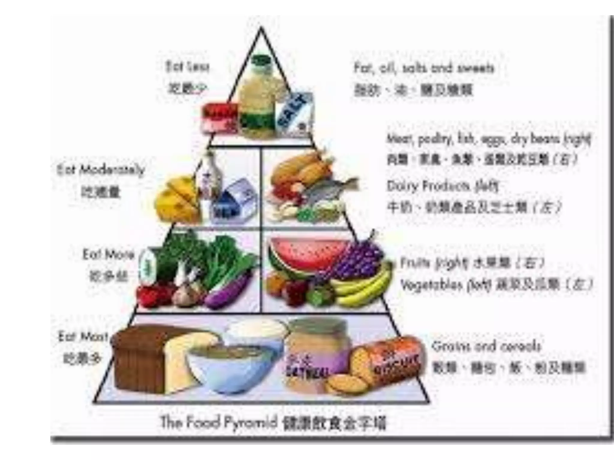 Food hierarchy | PPTX