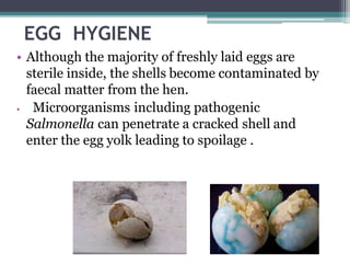 foodhygieneandcontrol-150909060115-lva1-app6891.pptx