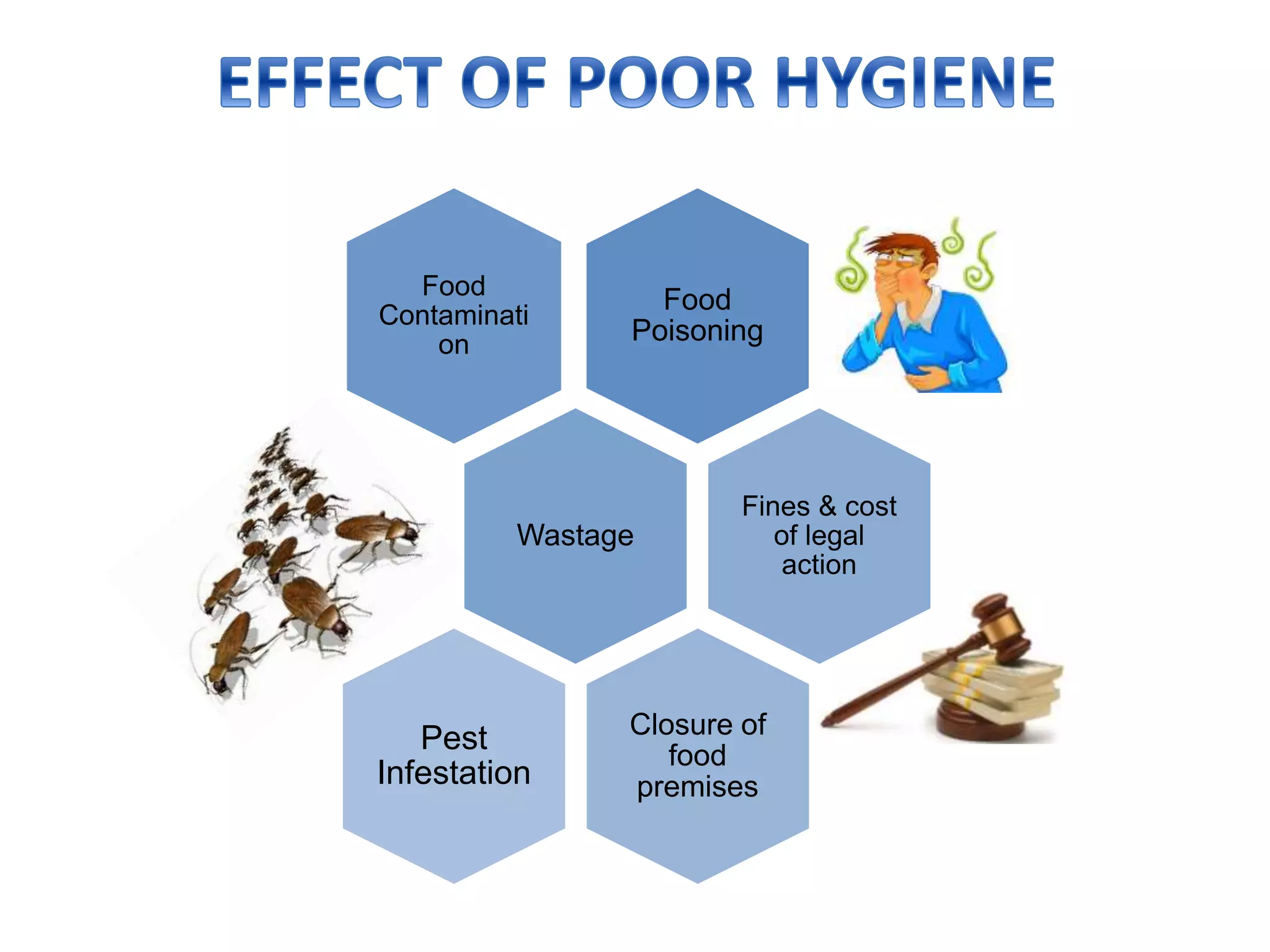 Food Hygiene Training | PPTX