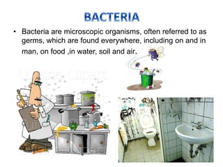 Food Hygiene Training | PPTX