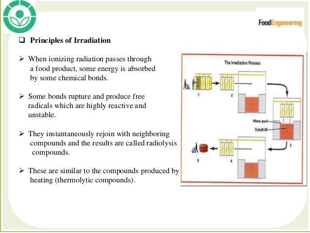 What is Food Irradiation in Food Processing
