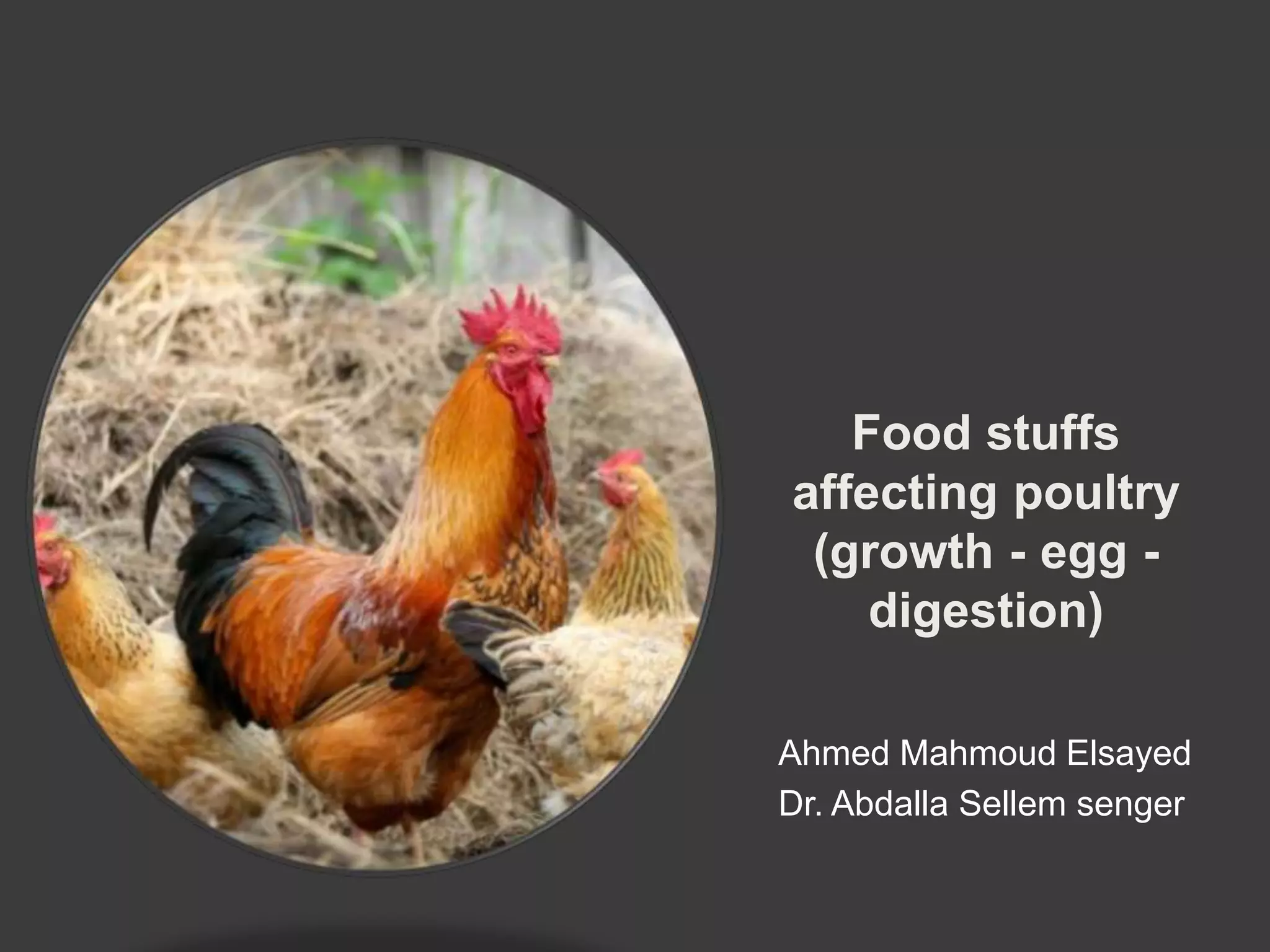 Food items that affect poultry (growth egg -digestion) | PPT