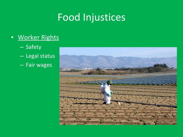Food Equality & Food Justice | PPT