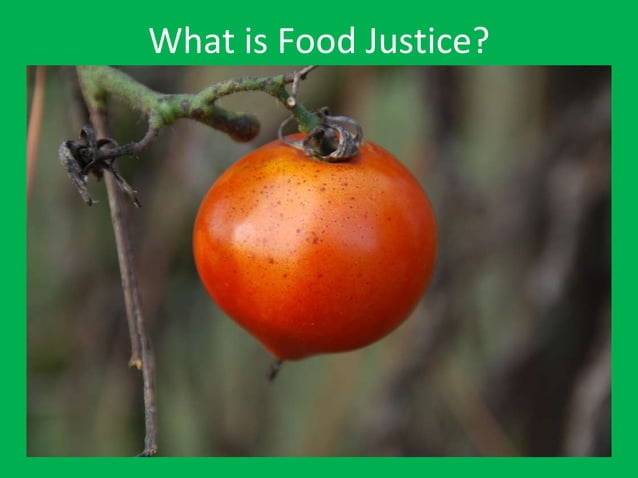 Food Equality & Food Justice | PPT