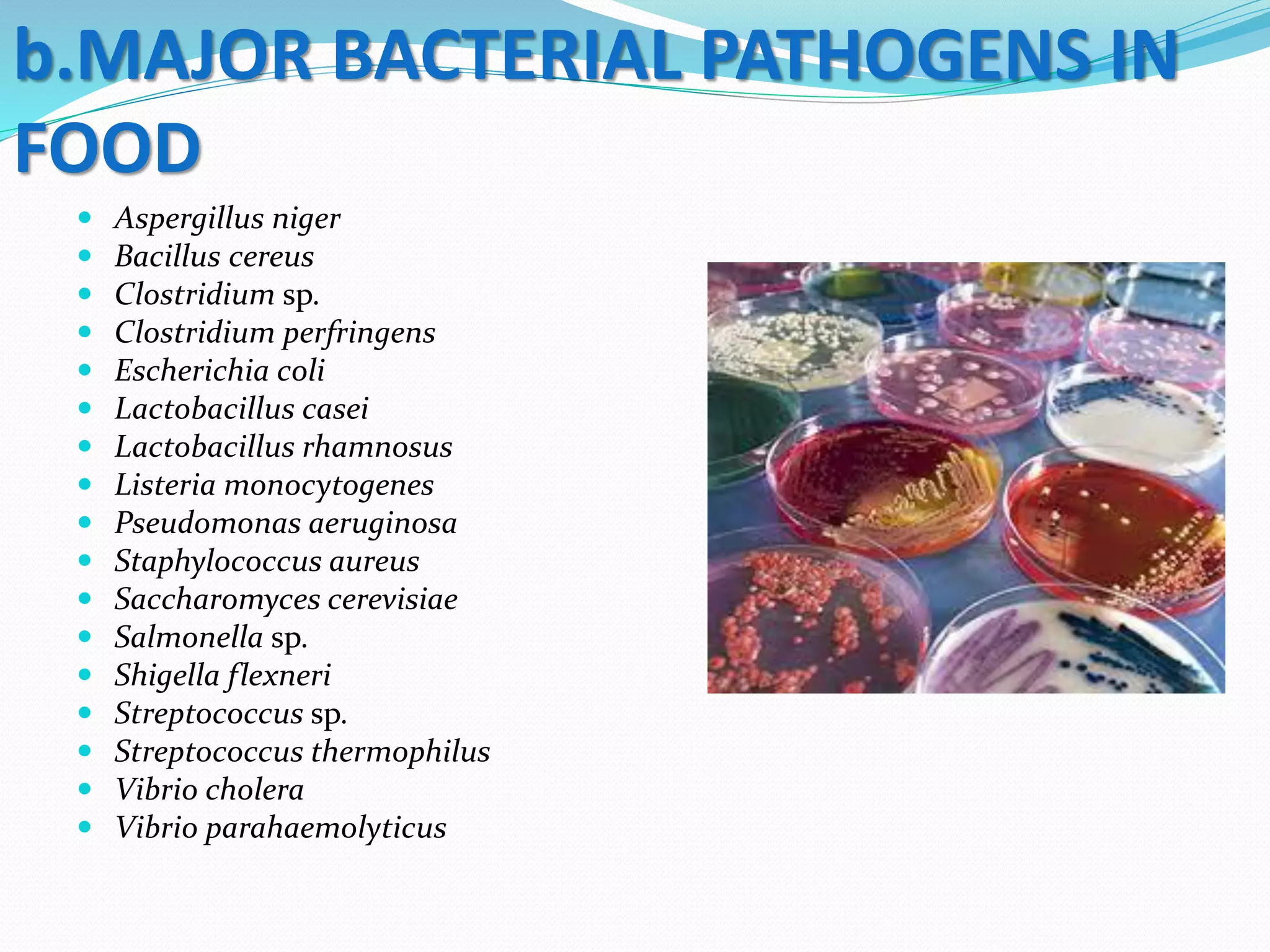 Food Testing Lab | PDF