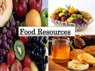Food & land resources | PPTX