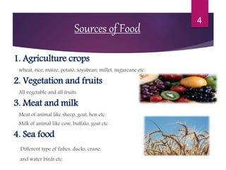 Food & land resources | PPTX