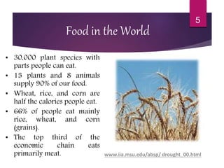 Food & land resources | PPTX