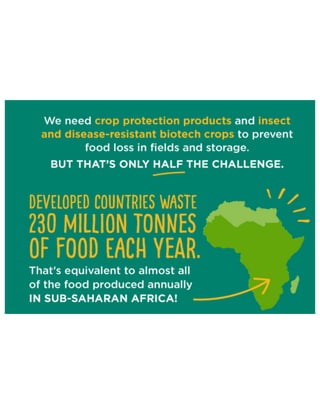Food Loss and Crop Protection | PDF