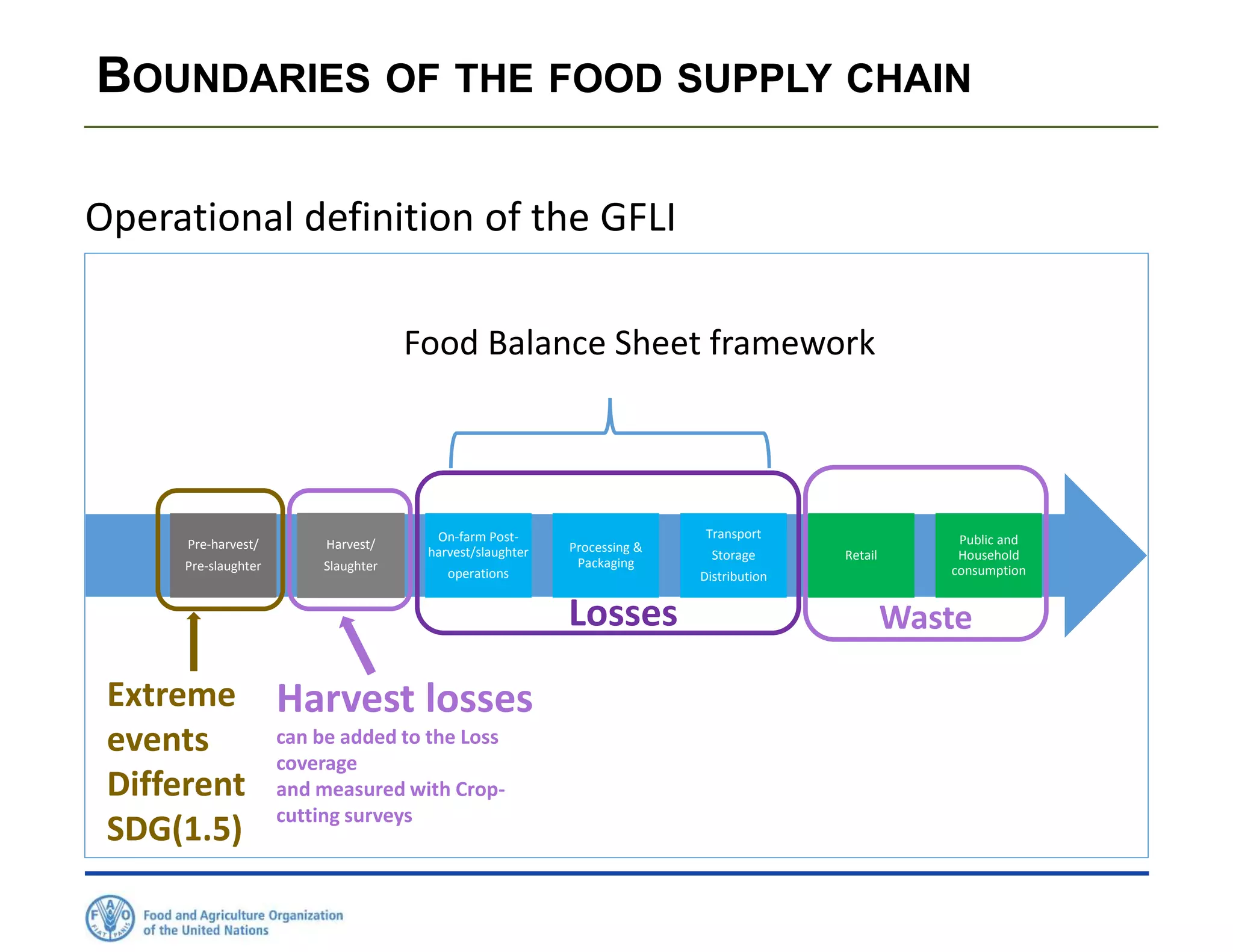 Food loss and waste SDG 12.3.1_ENGLISH | PPTX | Agriculture | Industries