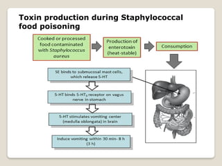 Staphylococcal species food intoxication.pptx
