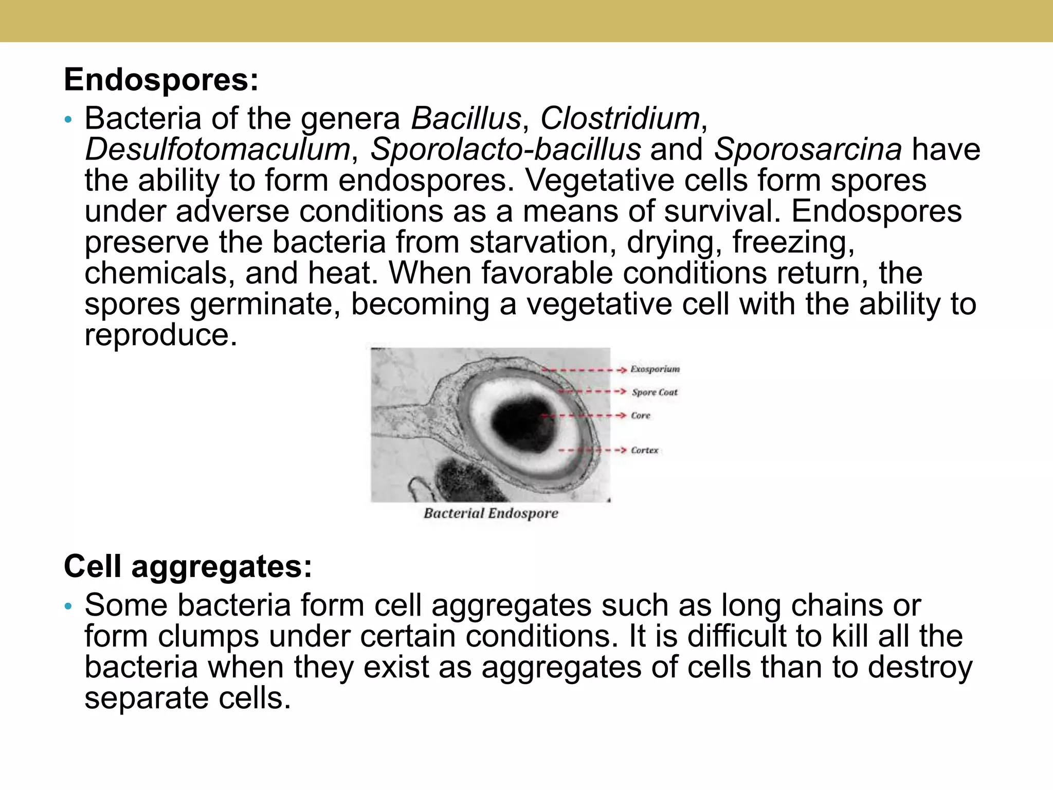 MICROBIOLOGY QUICK LEARN Food Microbiology BACTERIA- Cultural ...